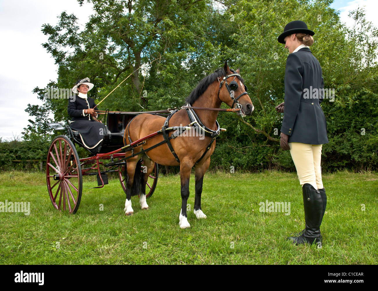 Elegant horse carriage hi-res stock photography and images - Alamy