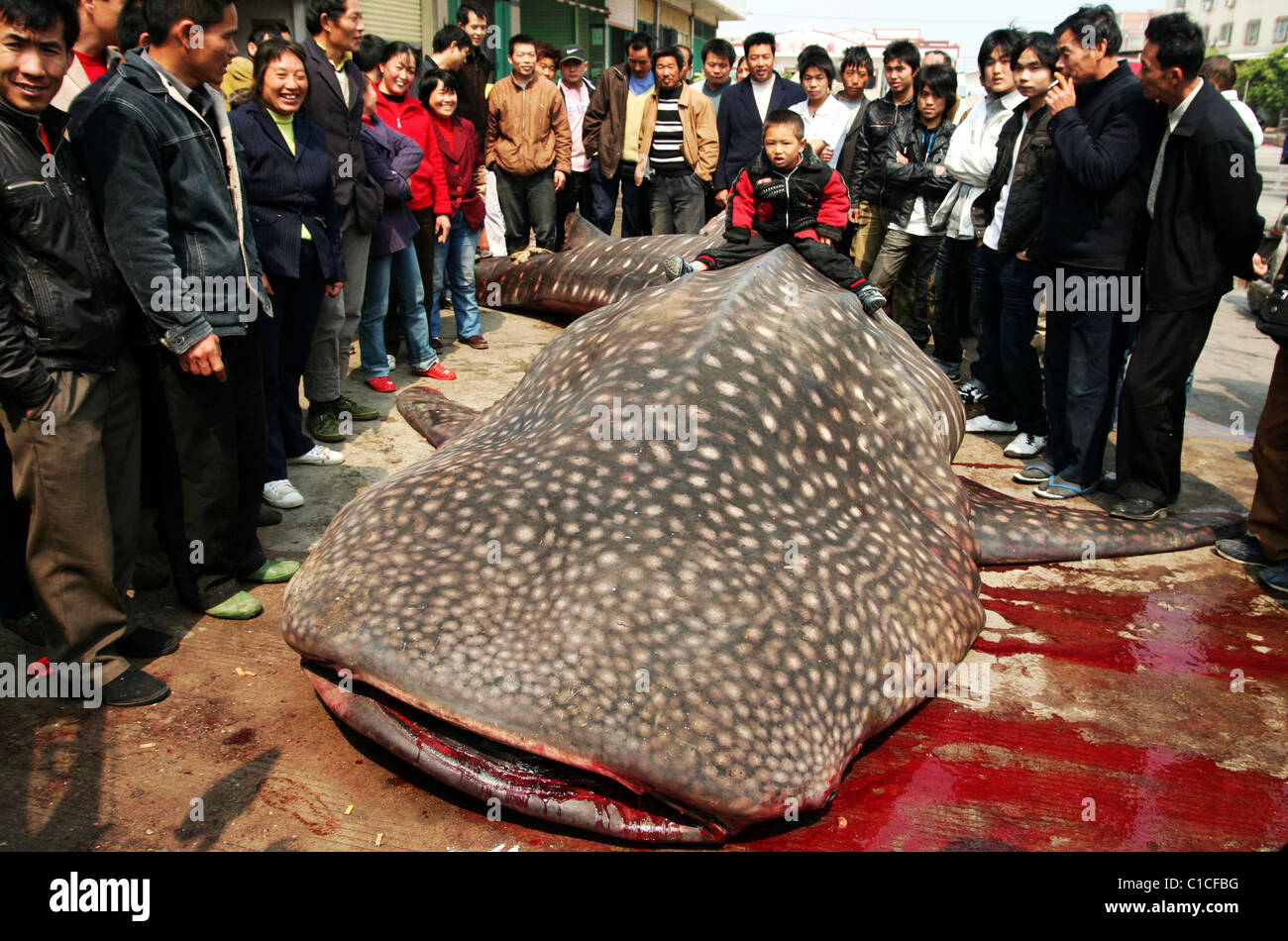 Weighs 3 tons hi-res stock photography and images - Alamy