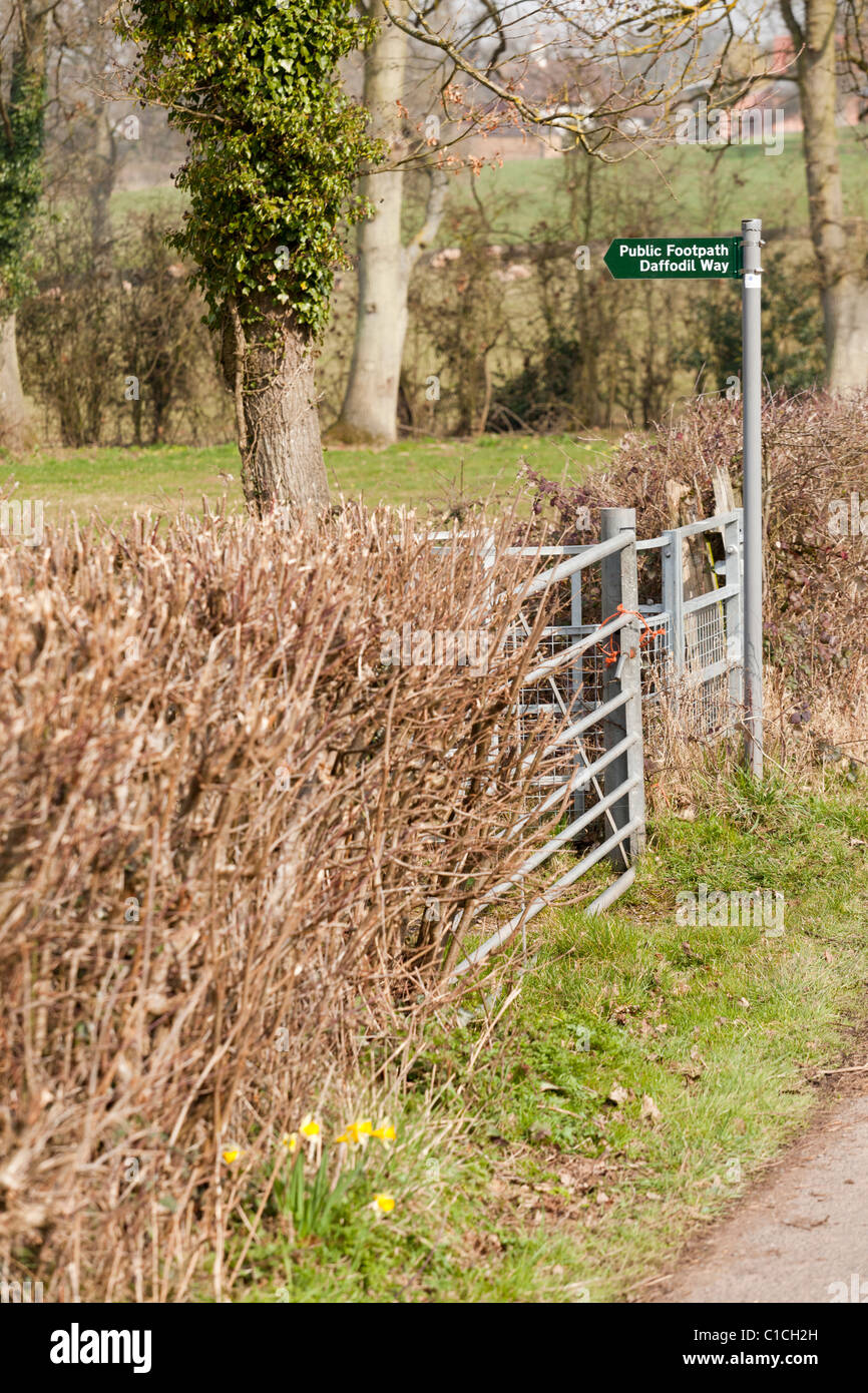 Public footpath sign for the Daffodil Way, a circular walk visiting ...