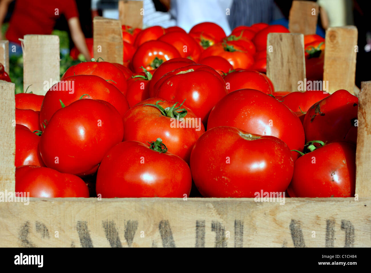 Fresh tomatoes on sale at market Stock Photo - Alamy