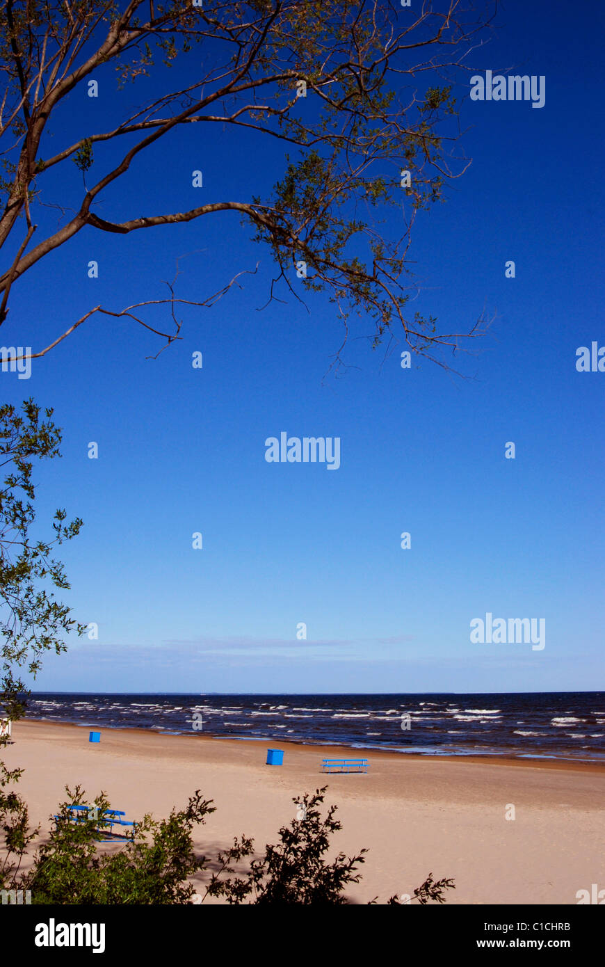 Empty morning beach with blue benches on the sea sand Stock Photo - Alamy