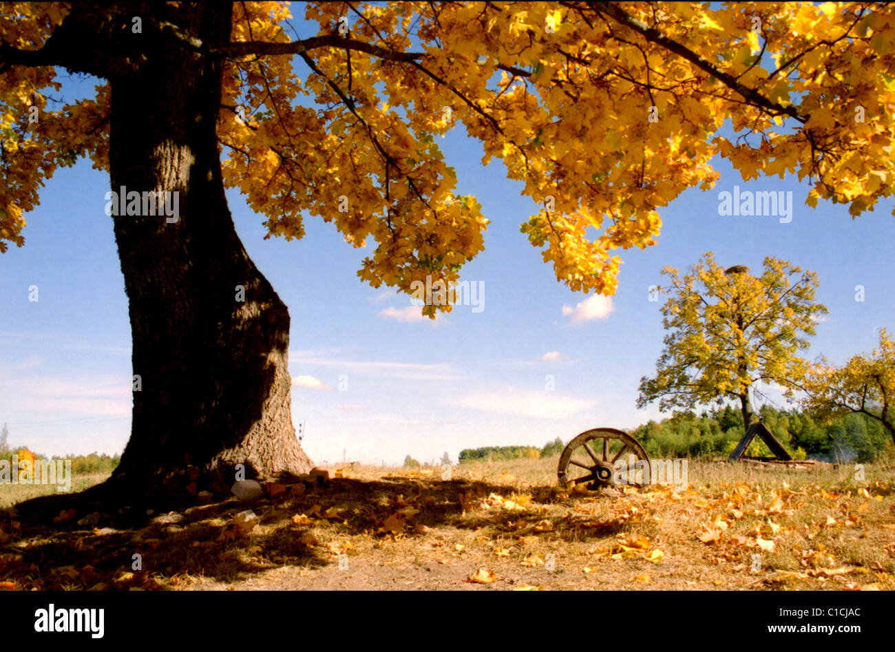 Golden color wheel hi-res stock photography and images - Alamy