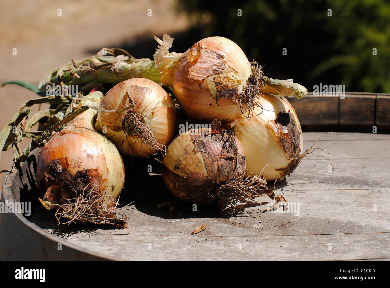 Oni hi-res stock photography and images - Alamy