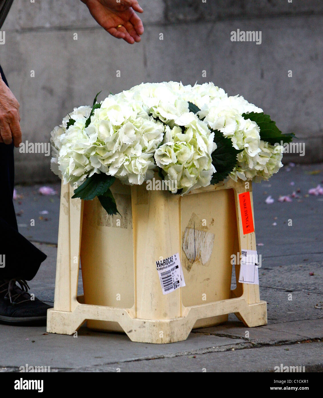 Patsy kensit wedding hi-res stock photography and images - Alamy