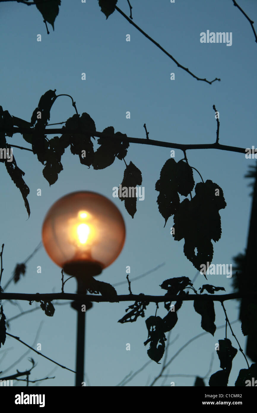 one bright bulb light Stock Photo - Alamy