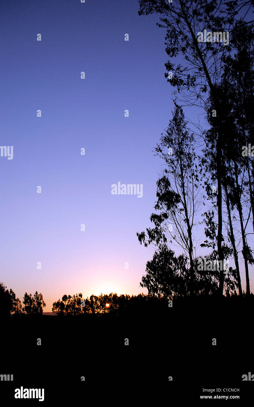 Sunset at Chile. Sunset Stock Photo - Alamy