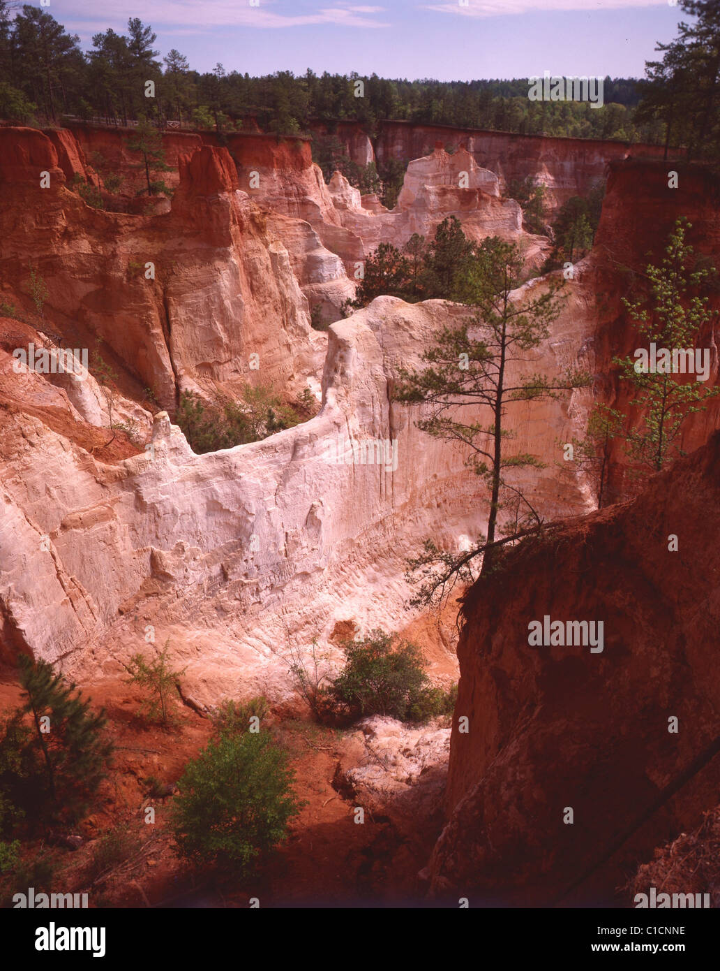 Providence canyon state park hi-res stock photography and images - Alamy