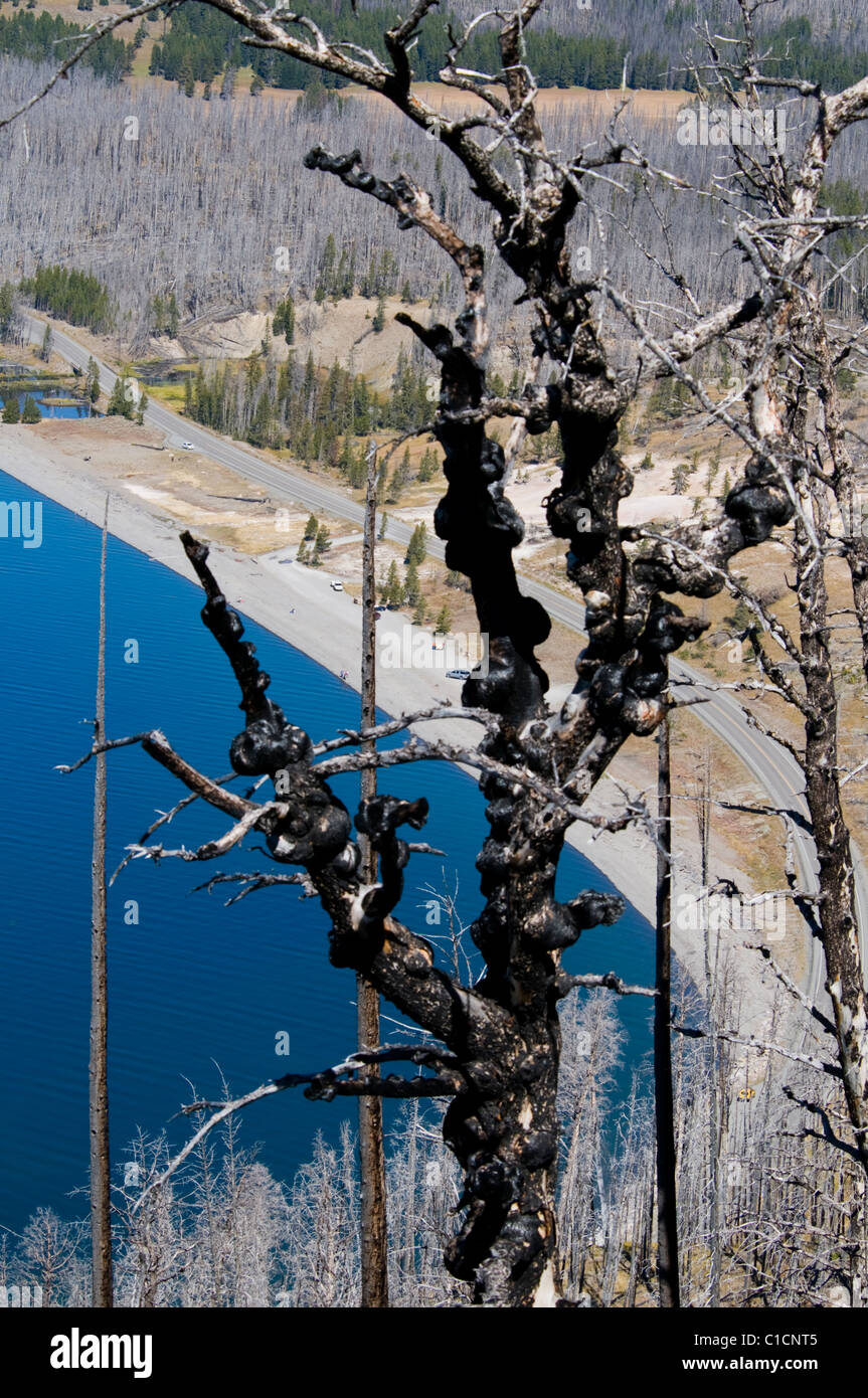 Lake Yellowstone,Butte Turnoff,Views of Teton Range Mountains,Dot ...