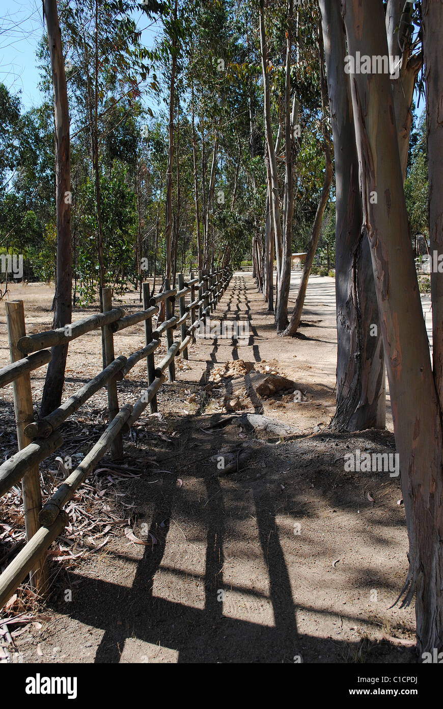 Siege of rural wood Stock Photo - Alamy
