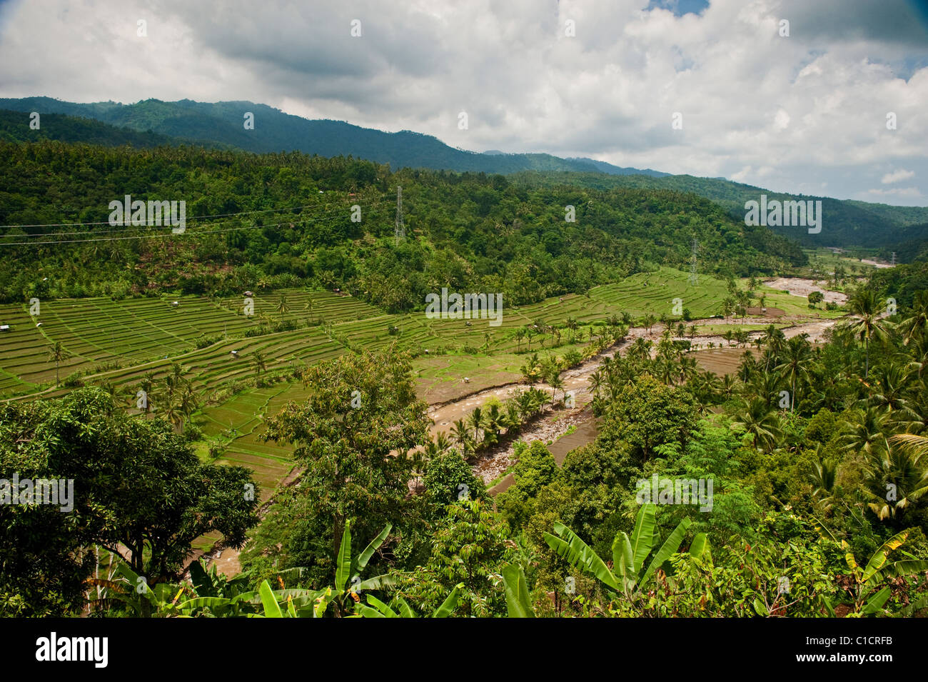 The beautiful and dramatic terraced rice fields of Bali, Indonesia ...