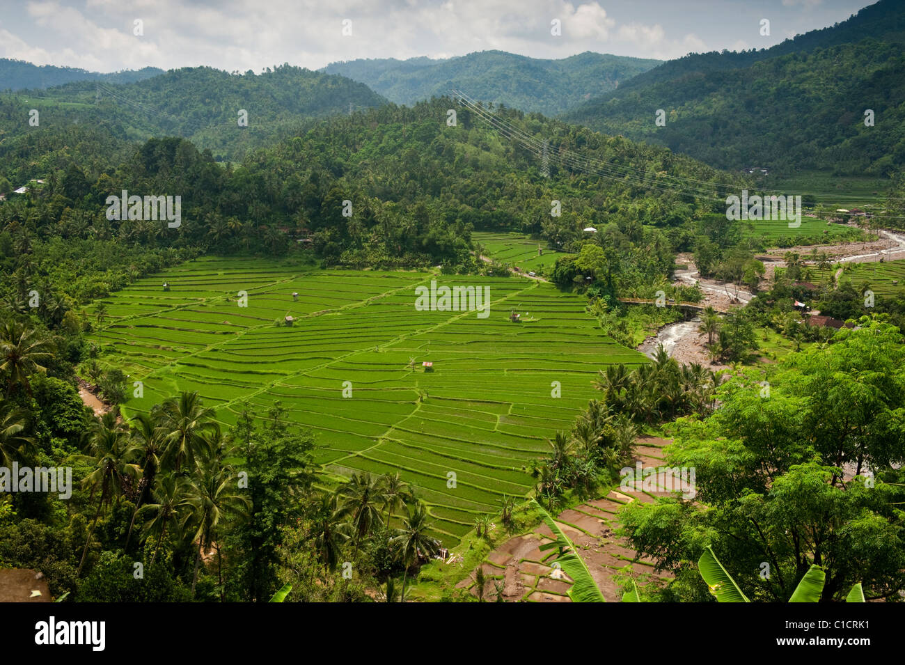 The beautiful and dramatic terraced rice fields of Bali, Indonesia ...