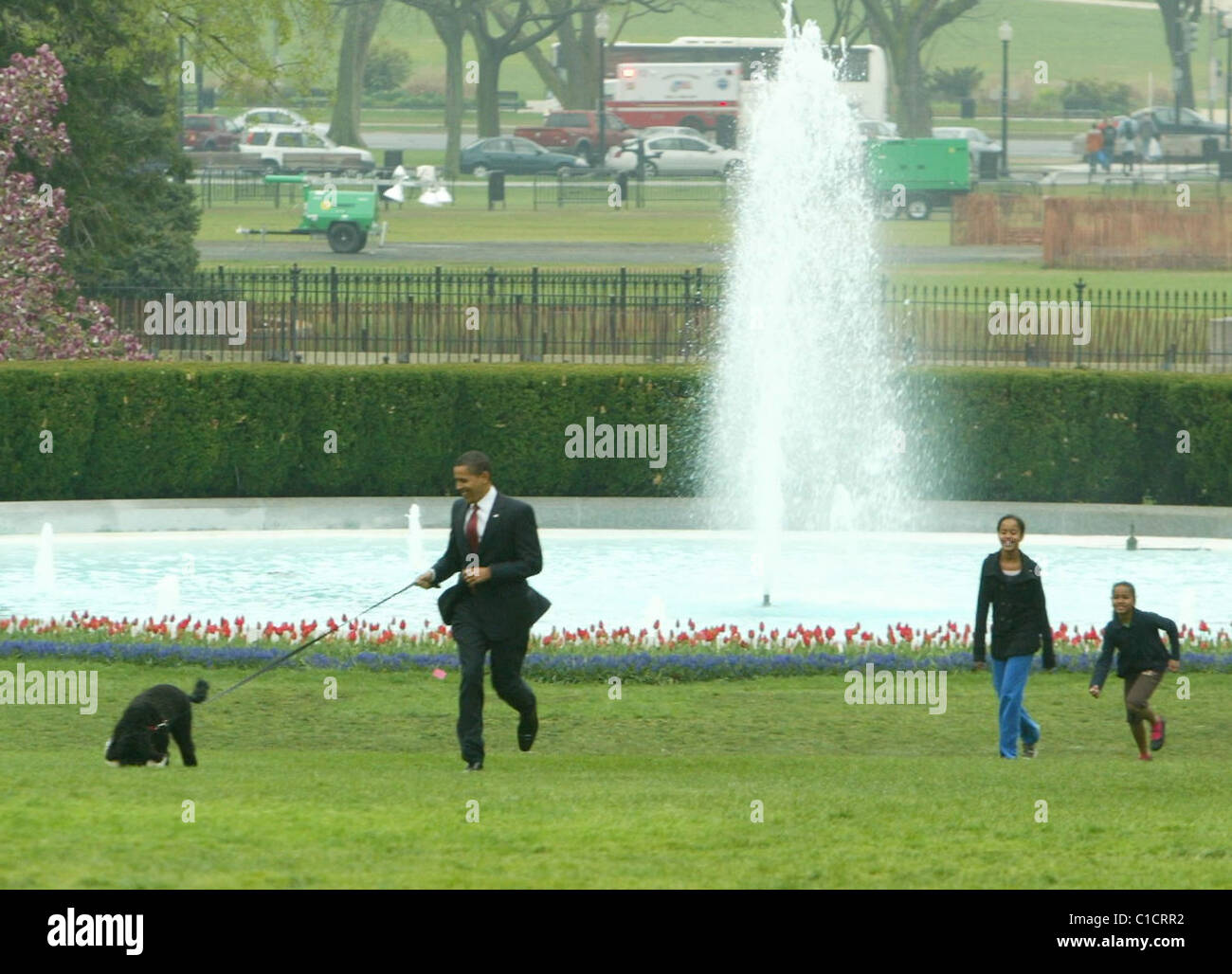 Dog named bo hi-res stock photography and images - Alamy