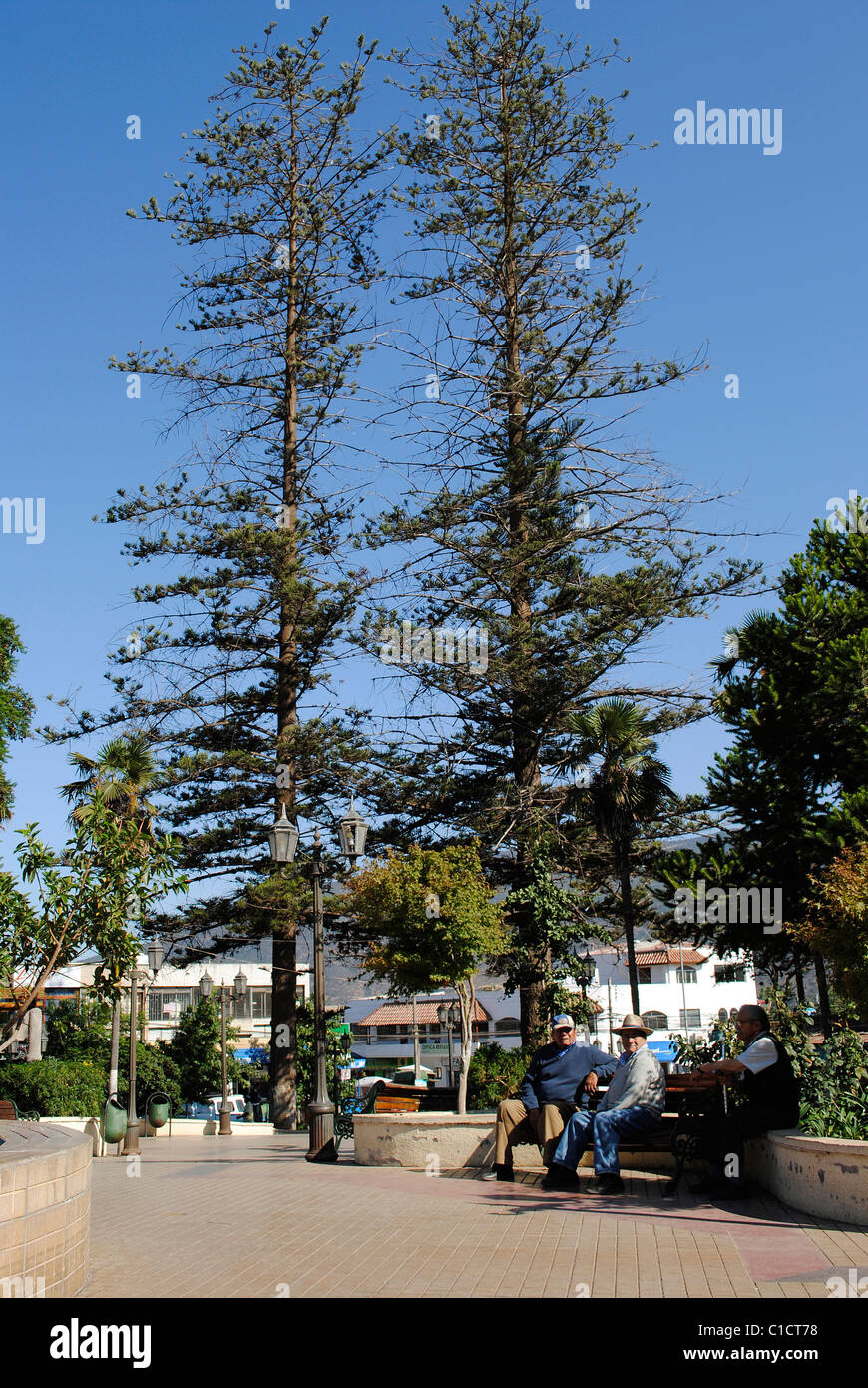 Square of the city of La Ligua, Chile Stock Photo - Alamy