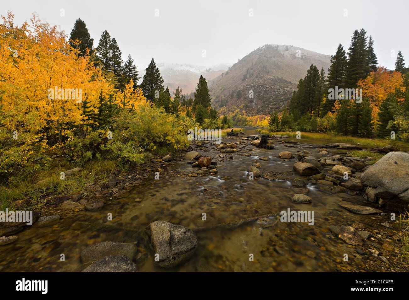 Fall color in the high sierra hi-res stock photography and images - Alamy