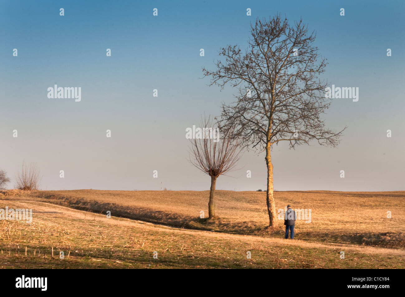 walking through the country Stock Photo - Alamy