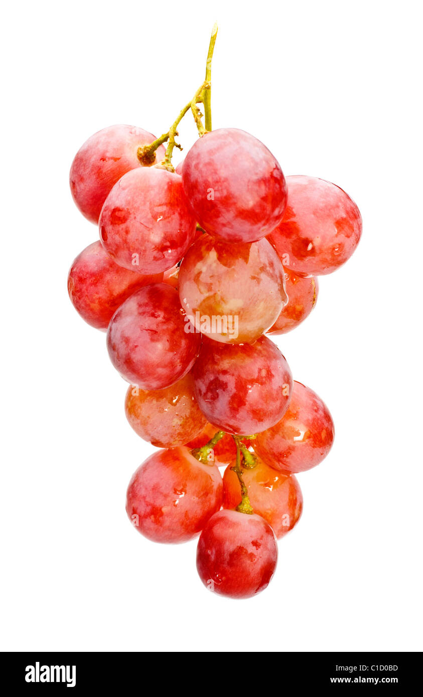 bunch of red grape isolated on white Stock Photo - Alamy