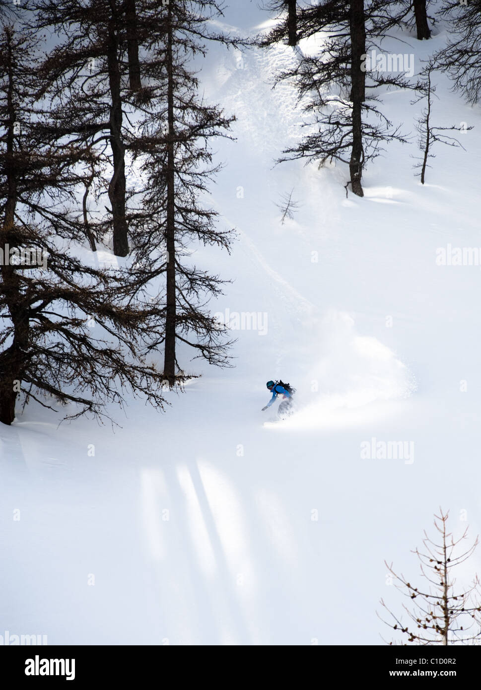 A snowboarder making turns in deep powder in the forests of Argentera ...