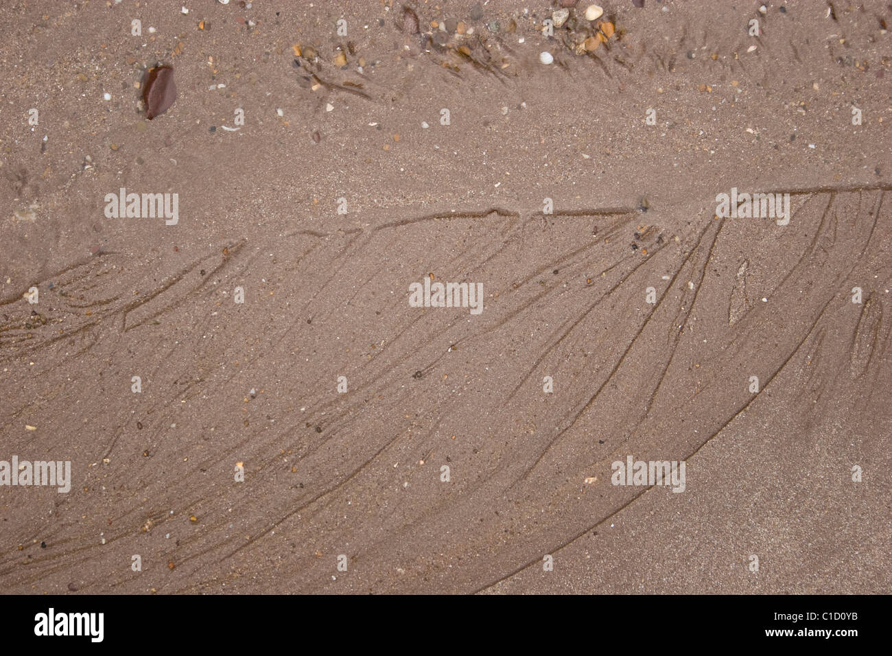 Sand feet marks hi-res stock photography and images - Alamy