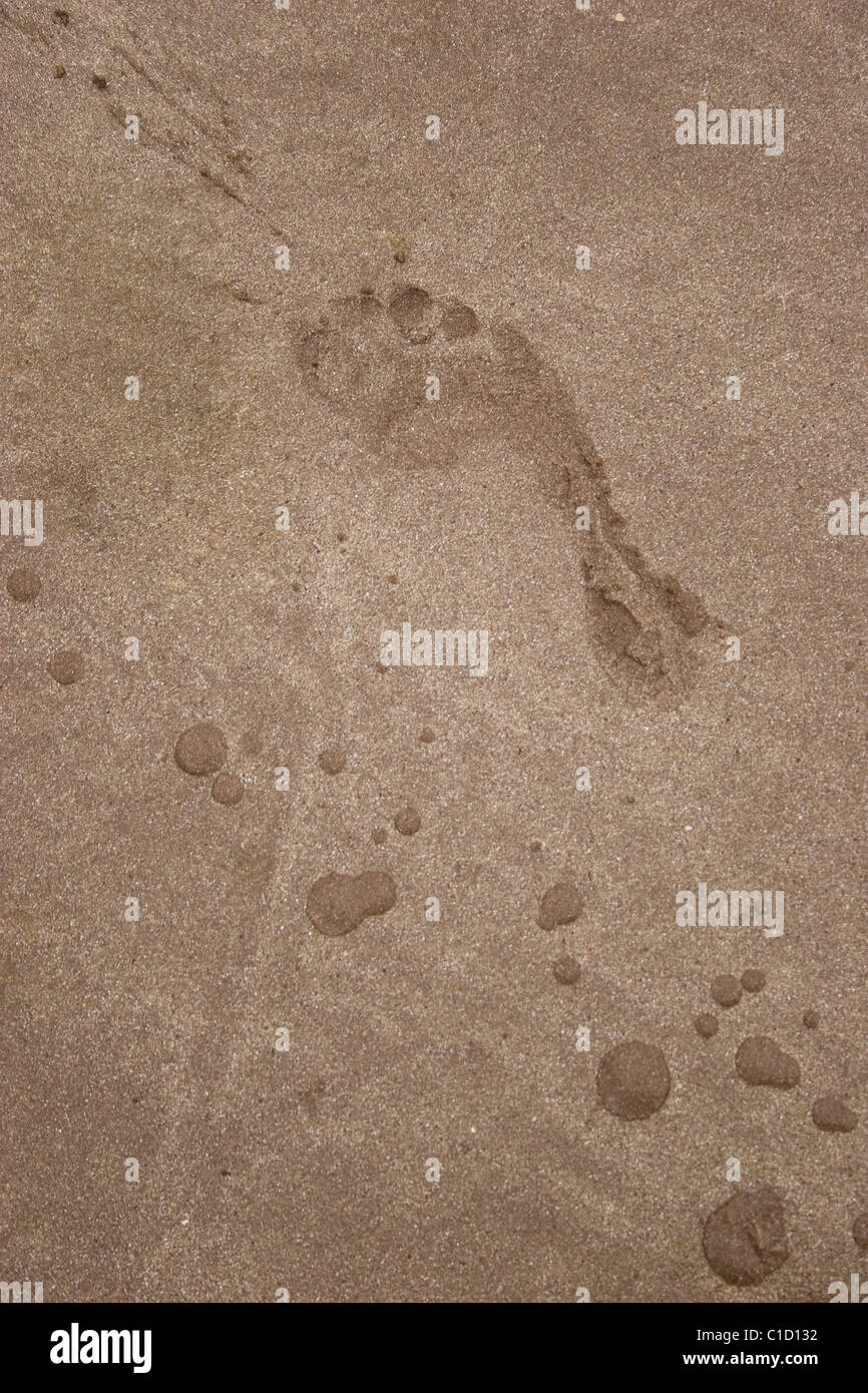 Damp stones hi-res stock photography and images - Alamy