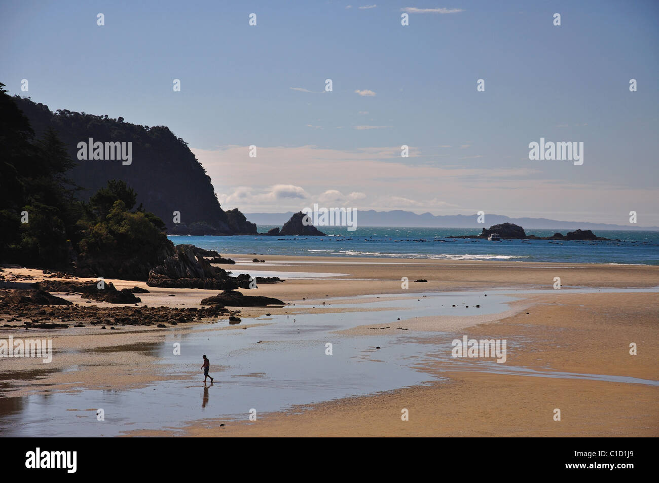 Totaranui Beach, Abel Tasman National Park, Golden Bay, Nelson Region, South Island, New Zealand ...