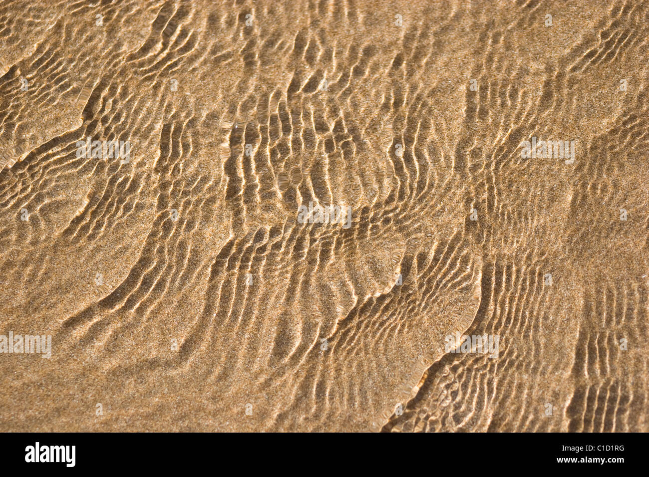 Ripples the water hi-res stock photography and images - Alamy