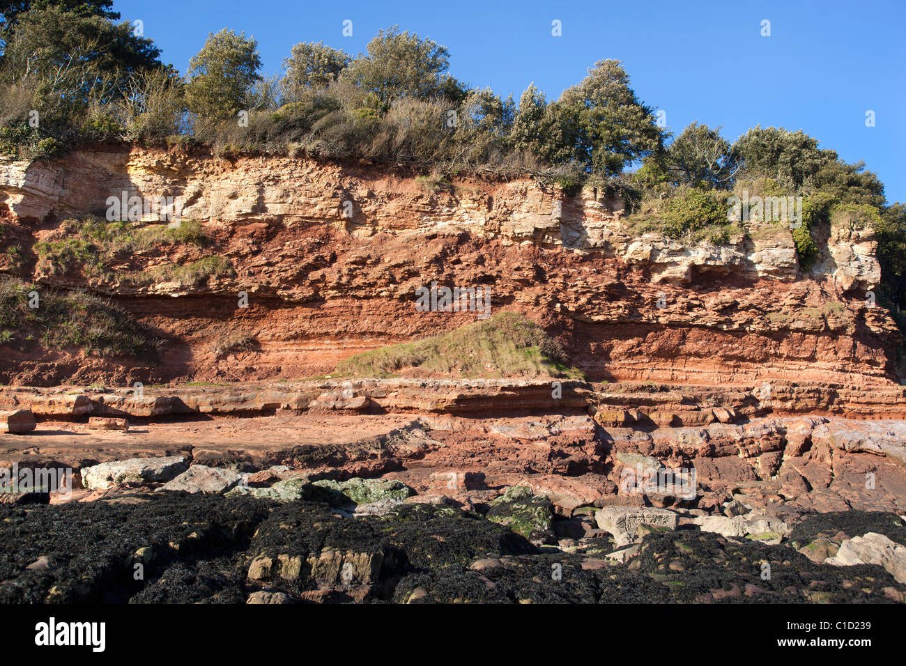 Coastal Erosion Lavernock Point South Wales Stock Photo - Alamy