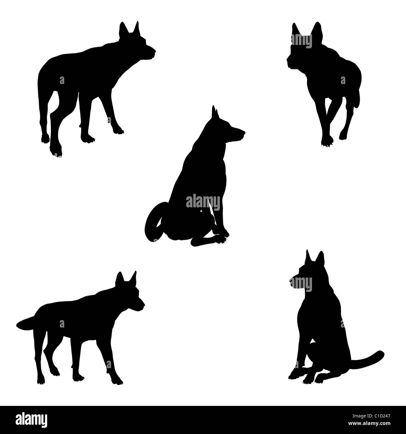 Dog Silhouettes - 2 Stock Photo - Alamy