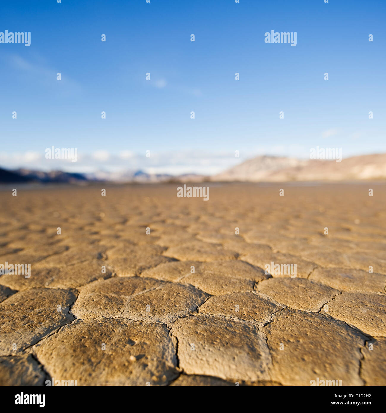 Detail of dry lake bed of the Devil's Racetrack playa, Death Valley ...