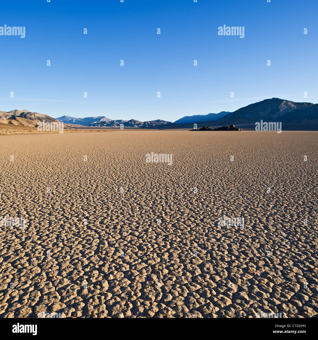 Dry lake bed of the Devil's Racetrack playa, Death Valley national park ...