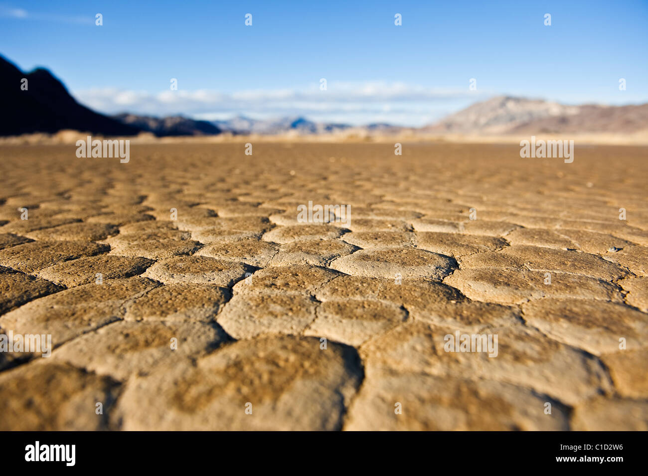 Detail of dry lake bed of the Devil's Racetrack playa, Death Valley ...