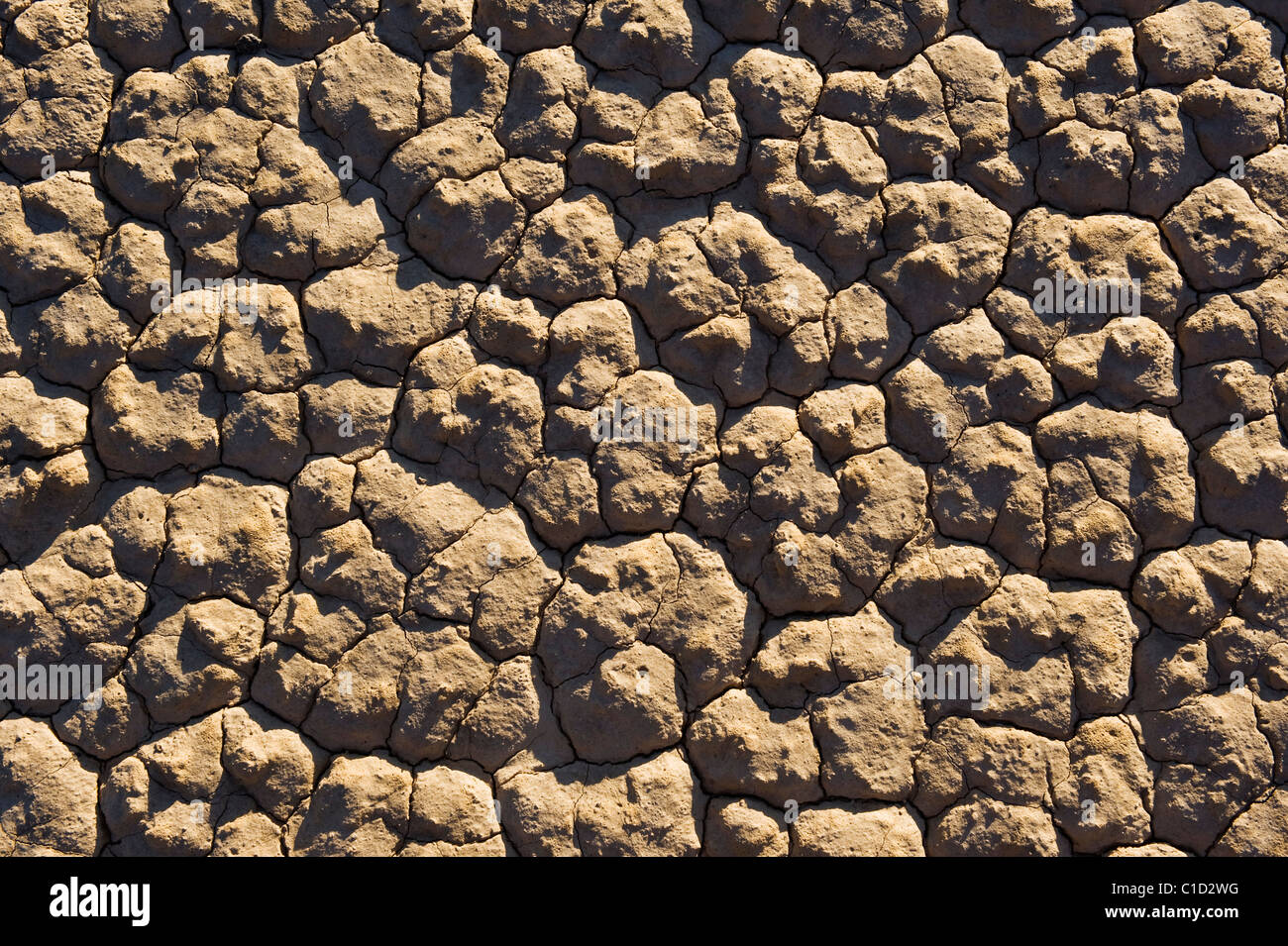 Detail of dry lake bed of the Devil's Racetrack playa, Death Valley ...