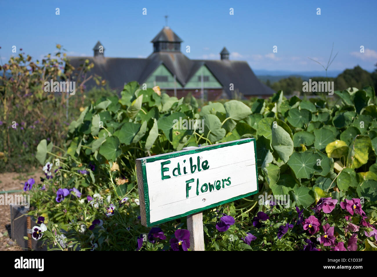 Shelburne vermont farms hi-res stock photography and images - Alamy