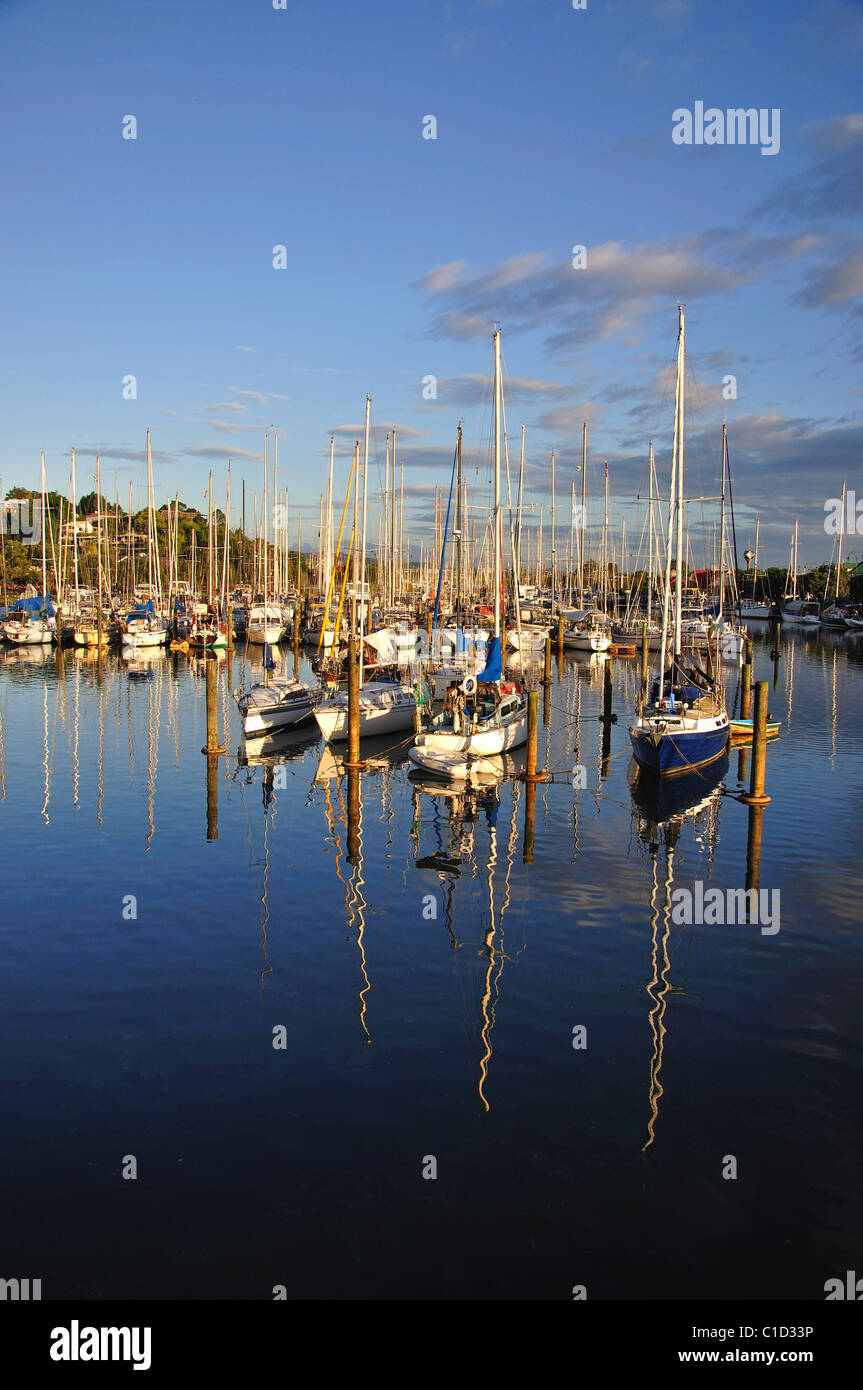 Town basin quayside whangarei new hi-res stock photography and images ...