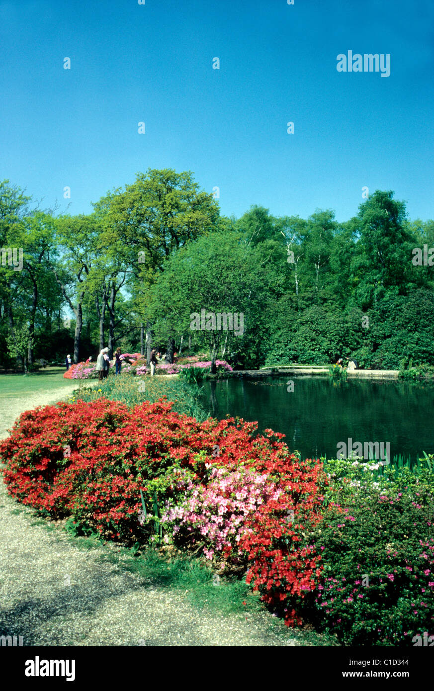 Isabella plantation richmond park hi-res stock photography and images ...