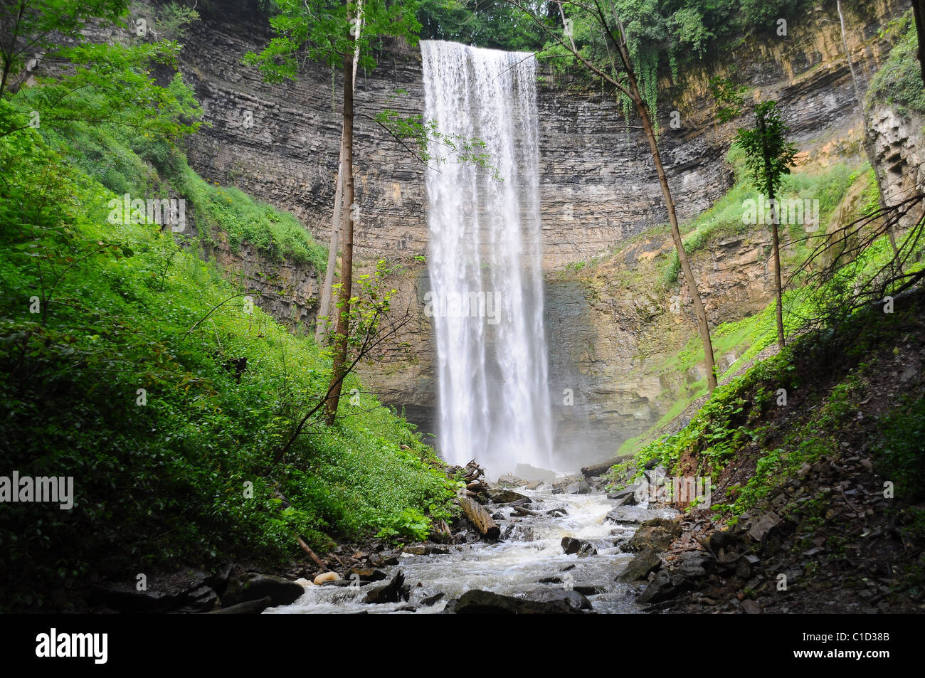 Gorgeous Tew's Waterfall, Niagara Escarpment, Hamilton, ON Stock Photo ...