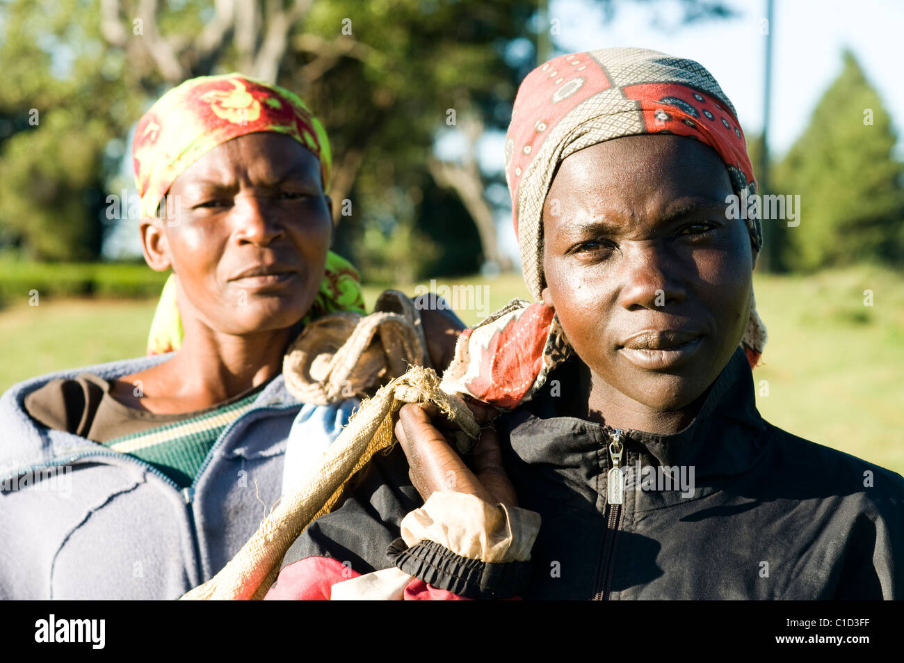 Kenya tea workers hi-res stock photography and images - Alamy
