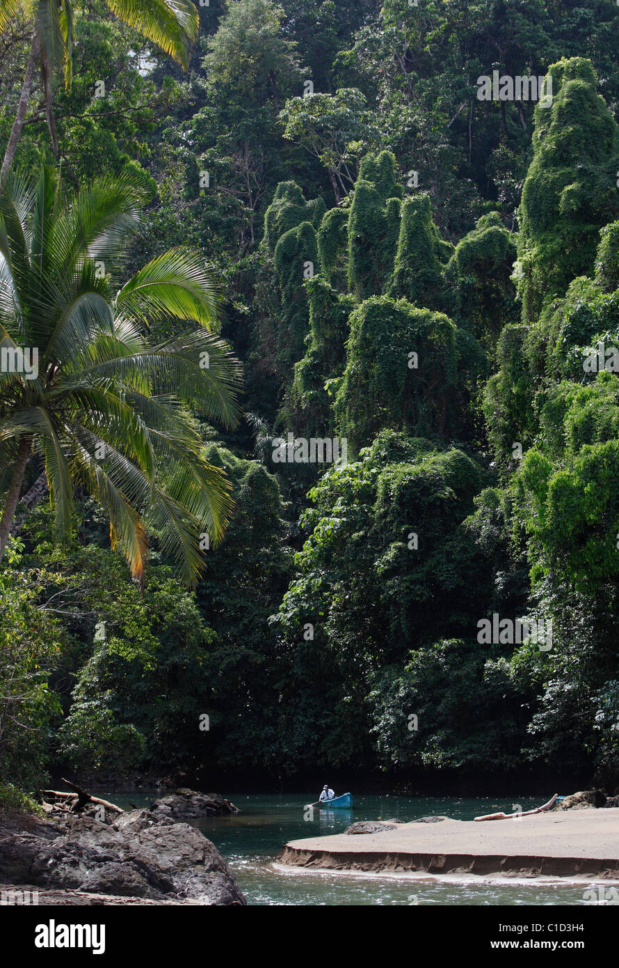 Corcovado National Park Costa Rica Man High Resolution Stock ...