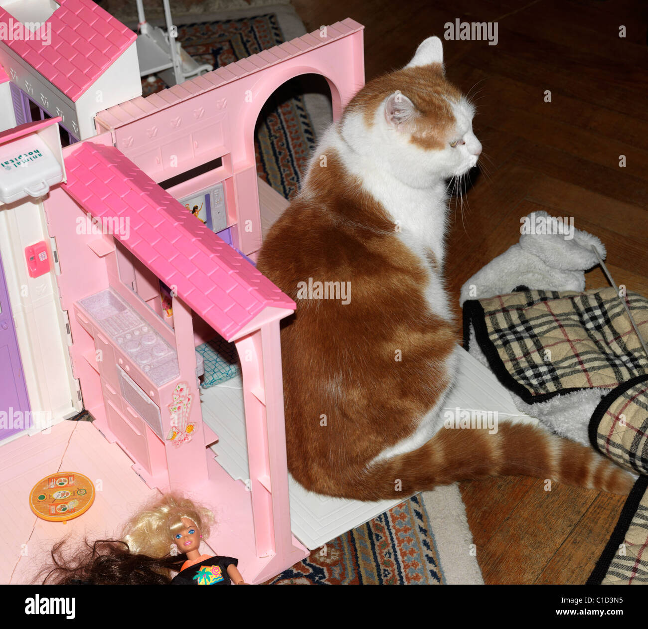 White dolls hi-res stock photography and images - Alamy