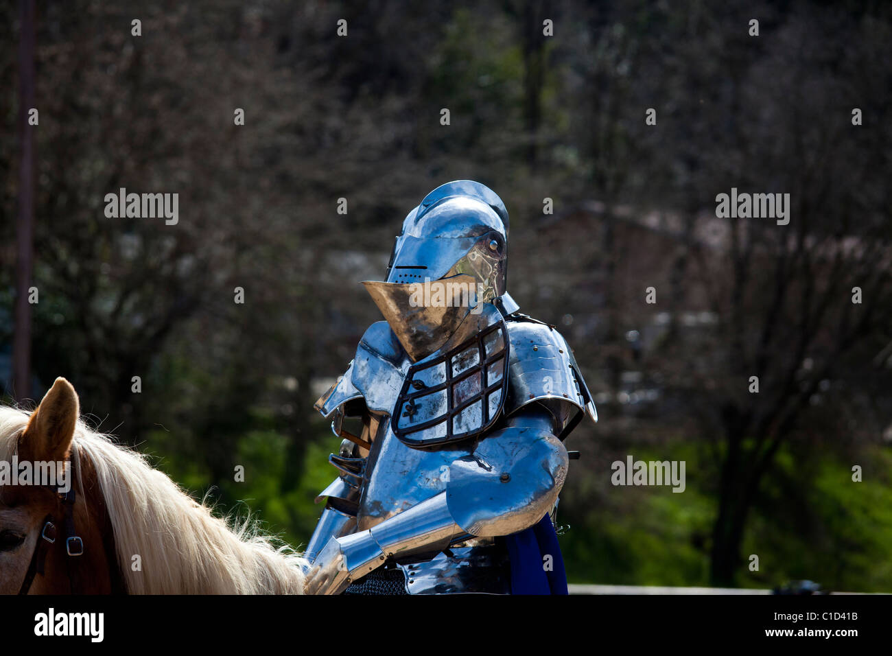 Scottish warrior in kilt historic hi-res stock photography and images ...