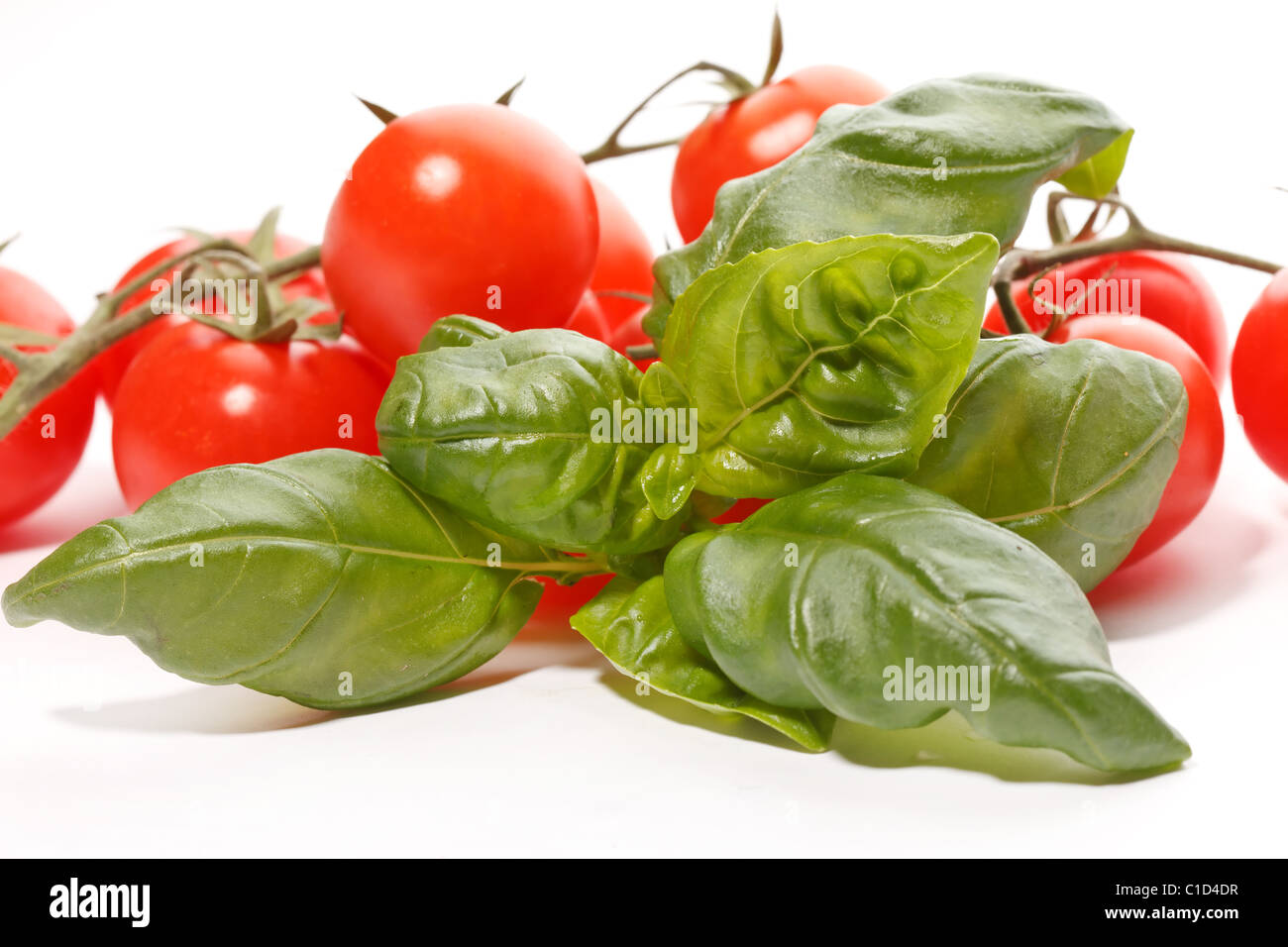 tomatoes and basil Stock Photo - Alamy