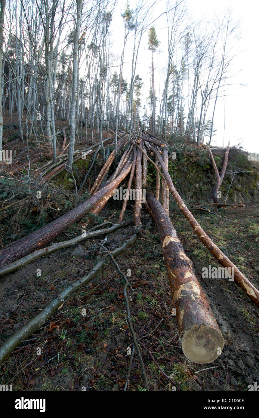 Deforestation environment High Resolution Stock Photography and Images ...