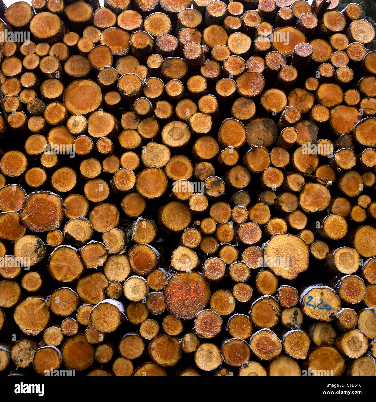 Logs stacked neatly, showcasing various shapes and textures of wood in ...