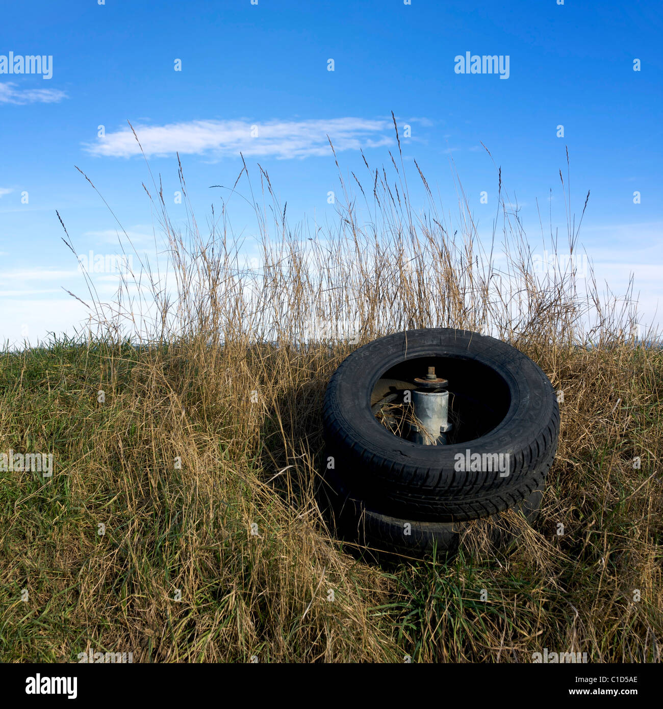 Old tires overgrown with grass sit against a clear blue sky in a rural ...