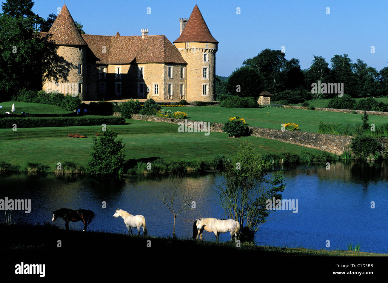 France, Charente, Massignac, Domaine des Etangs, charming hotel with ...