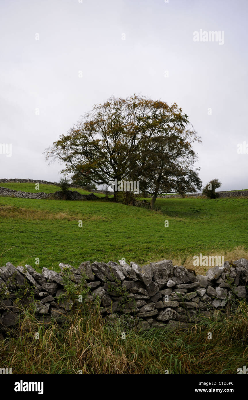 Peak District near Over Haddon, Bakewell Stock Photo - Alamy