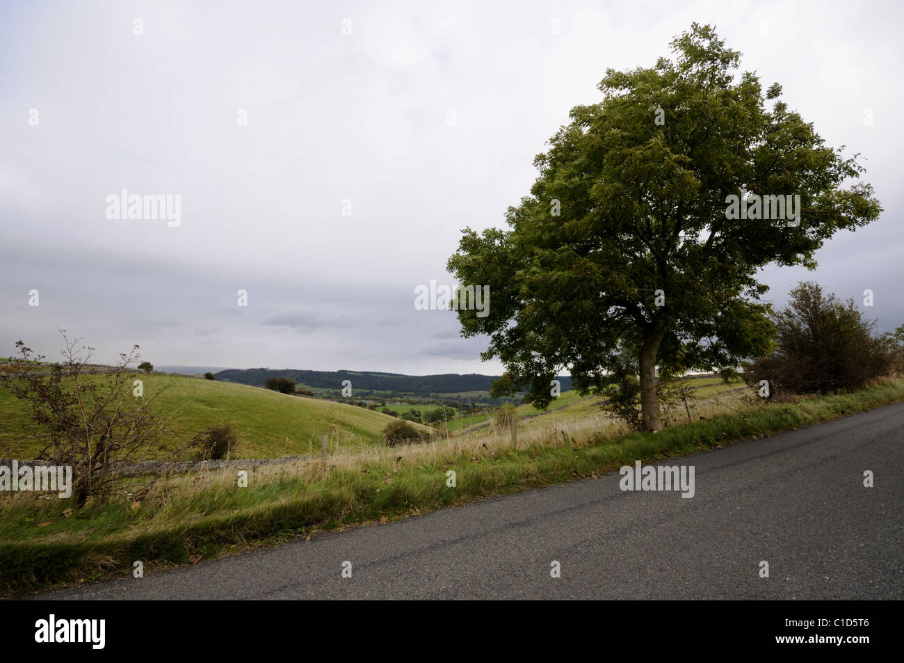 Peak District near Over Haddon, Bakewell Stock Photo - Alamy