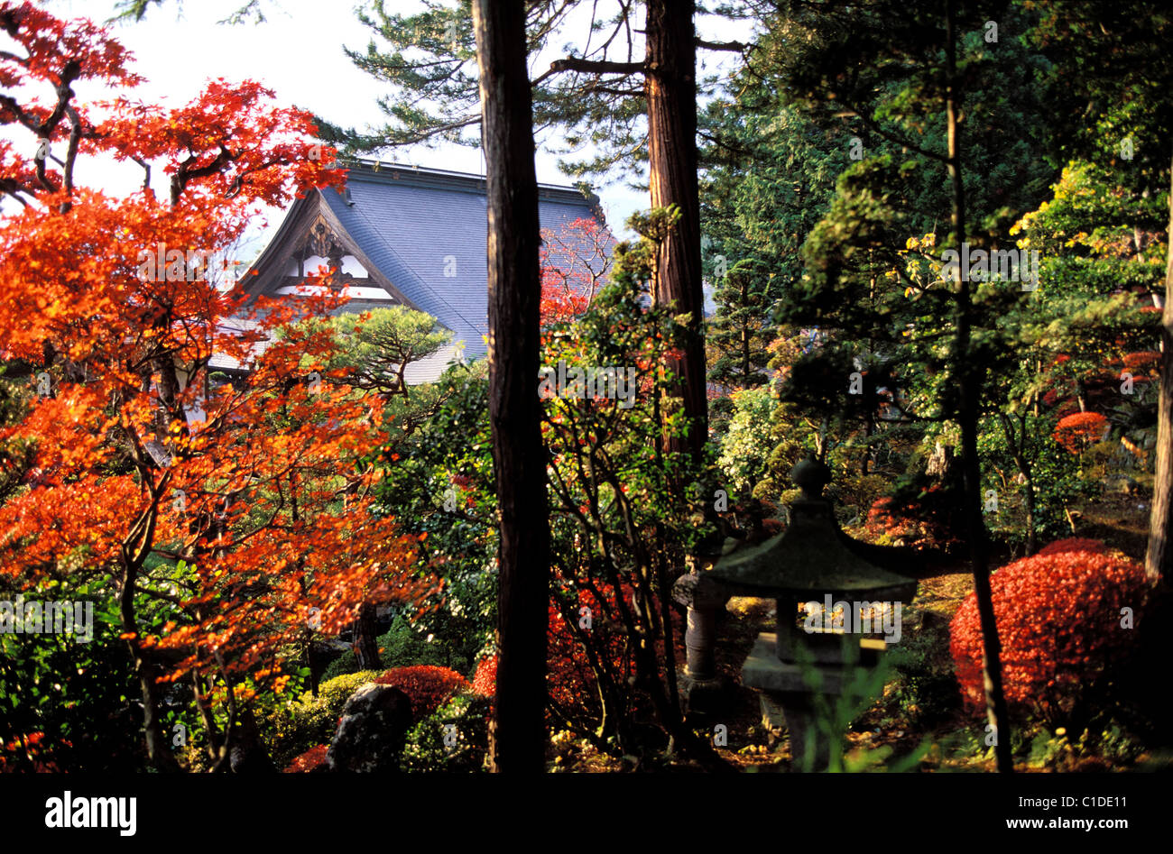 Japan, Honshu Island, the city of Takayama, temple in a forest Stock ...