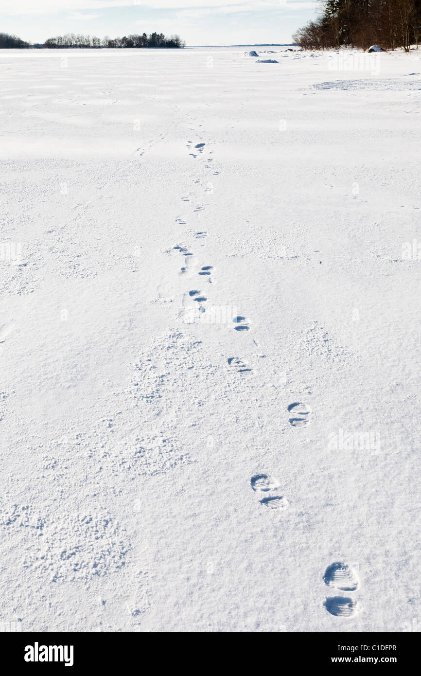 Footsteps snow hi-res stock photography and images - Alamy