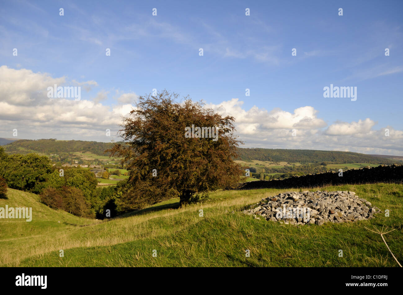 Peak District National Park near Bakewell Stock Photo - Alamy