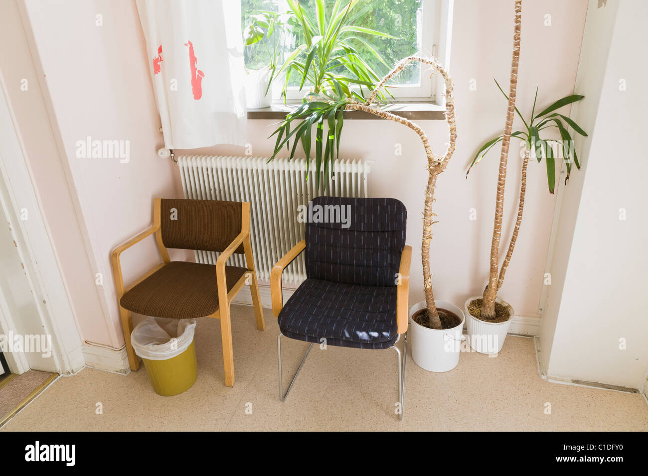 Waiting room with palm trees Stock Photo - Alamy